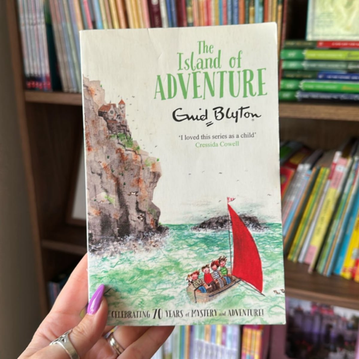 The Island of Adventure: the Adventure Series 1 by Enid Blyton