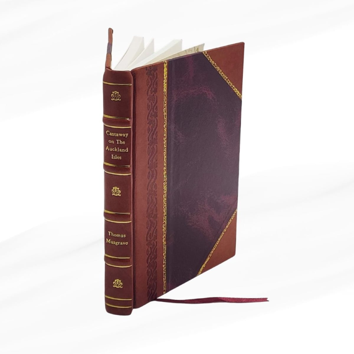 Castaway on the Auckland isles by Captain Thomas Musgrave, John Joseph ...