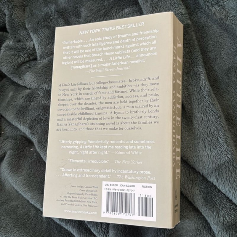 A Little Life by Hanya Yanagihara, Paperback | Pangobooks