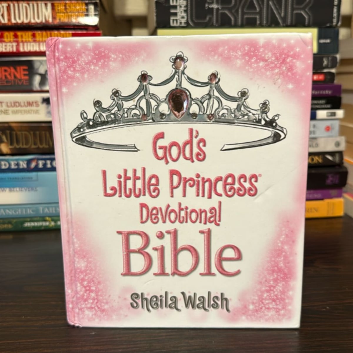 God's Little Princess Devotional Bible by Sheila Walsh
