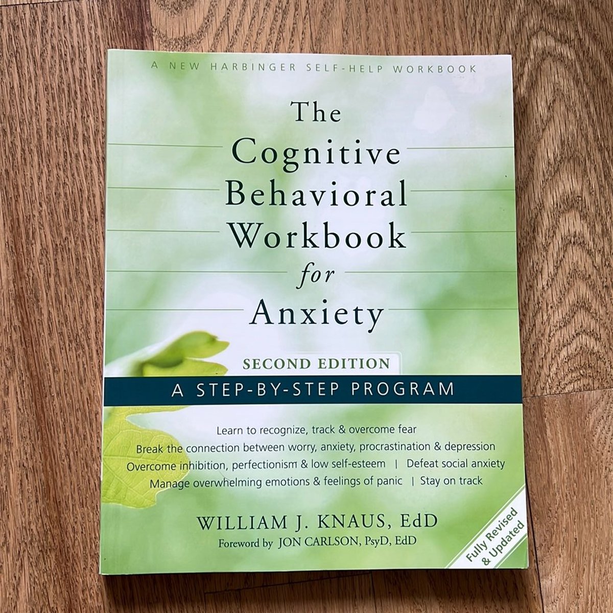 Cognitive Behavioral Workbook for Anxiety by William J. Knaus, Jon Carlson