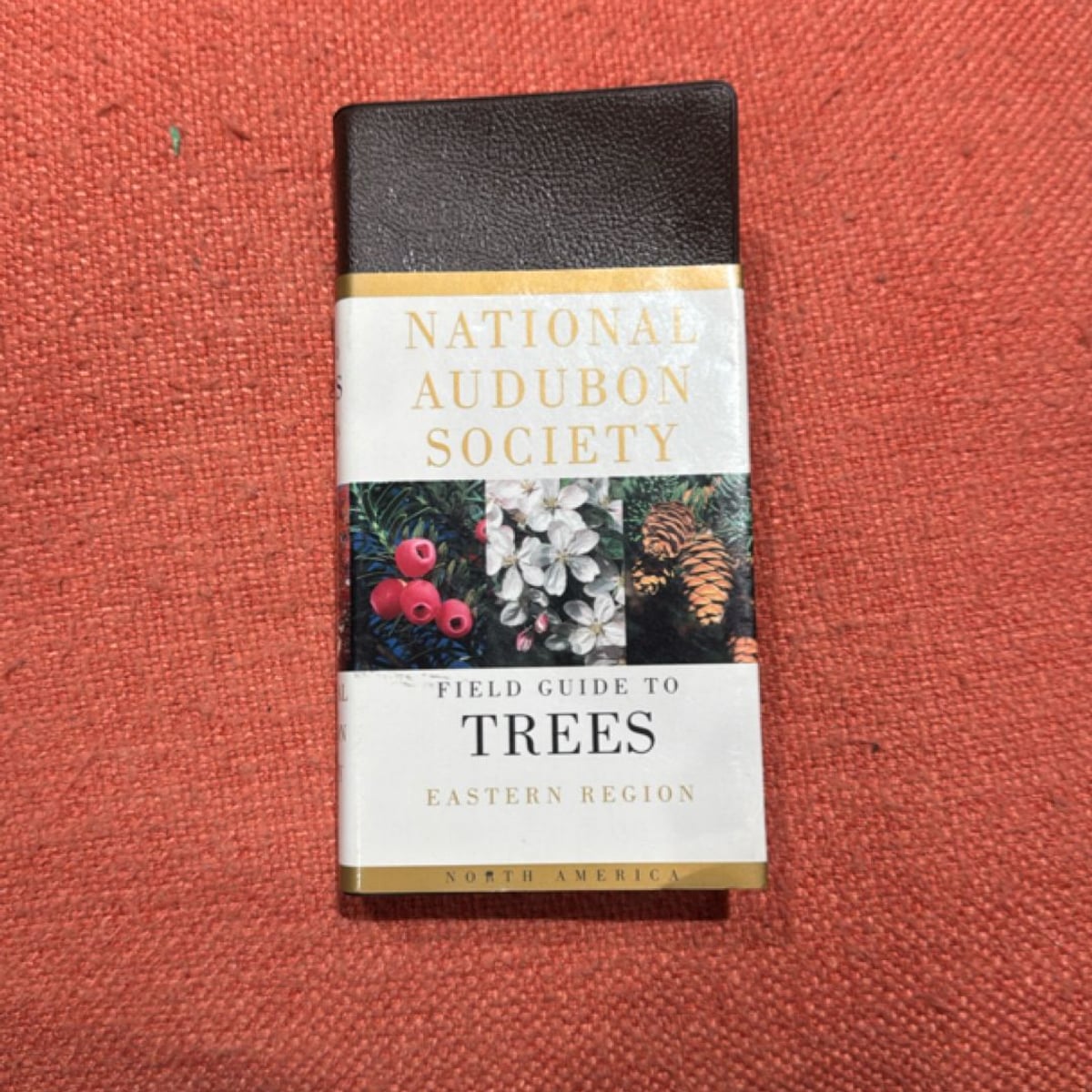 National Audubon Society Field Guide to North American Trees--E by ...