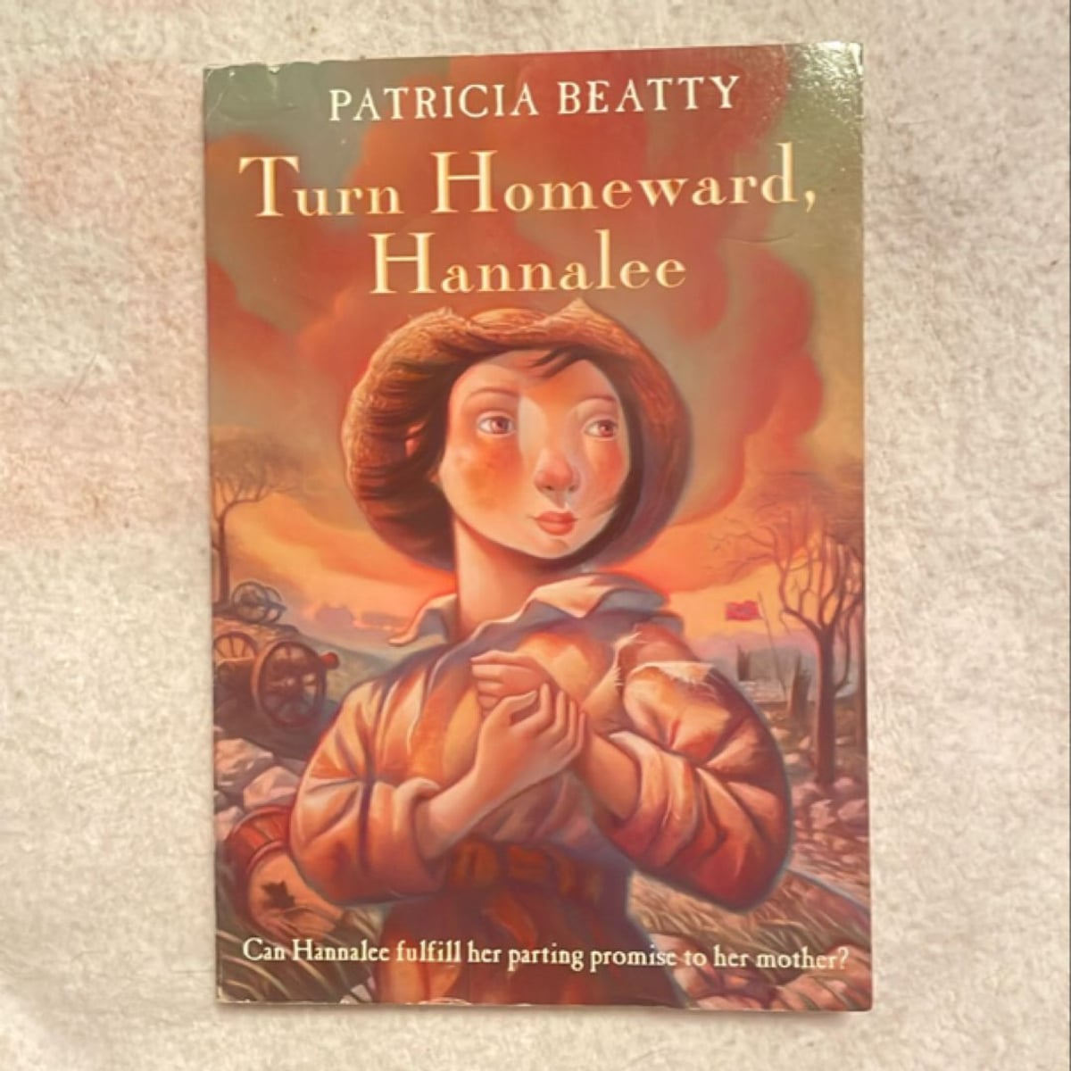 Turn Homeward, Hannalee by Patricia Beatty