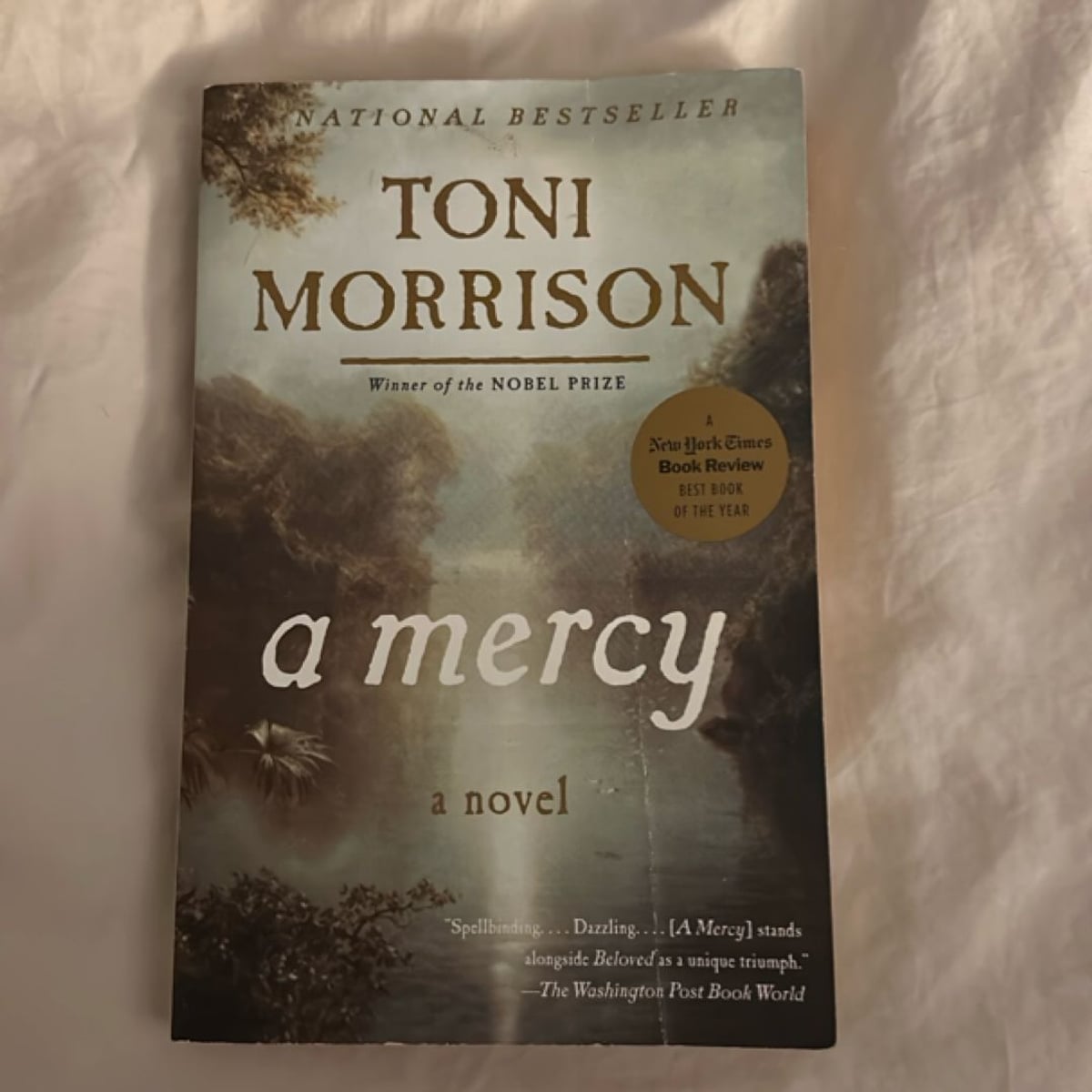 A Mercy by Toni Morrison