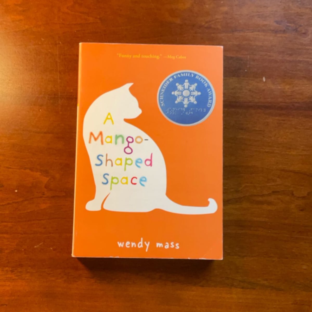 A Mango-Shaped Space by Wendy Mass