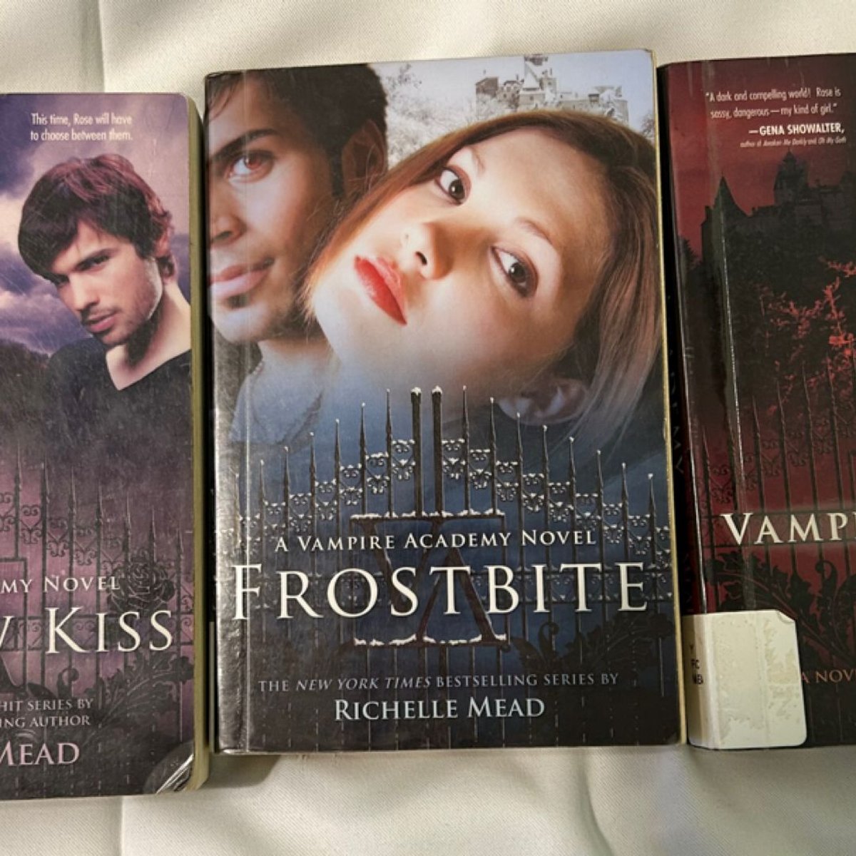 Vampire Academy Boxed Set by Richelle Mead
