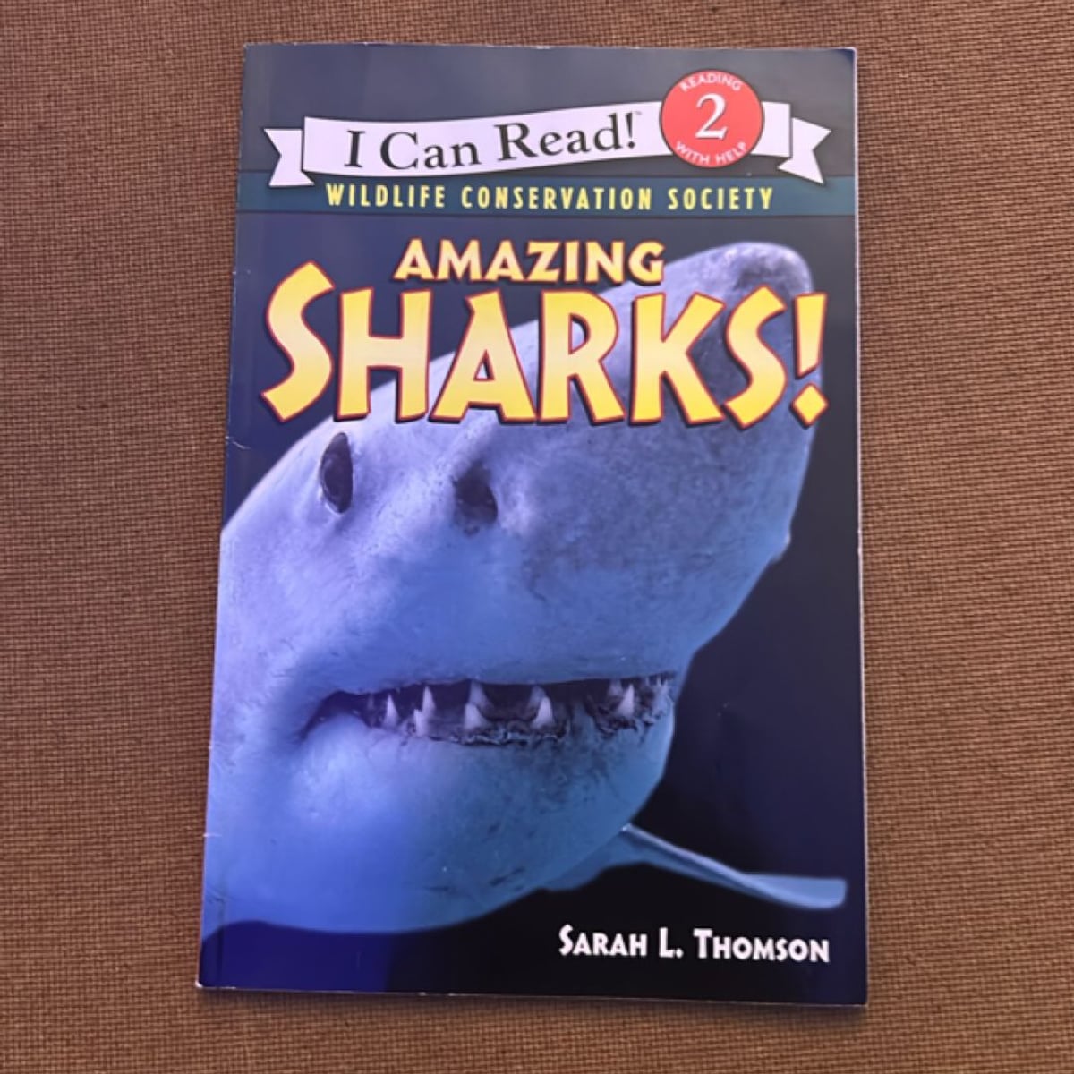 Amazing Sharks! by Sarah L. Thomson