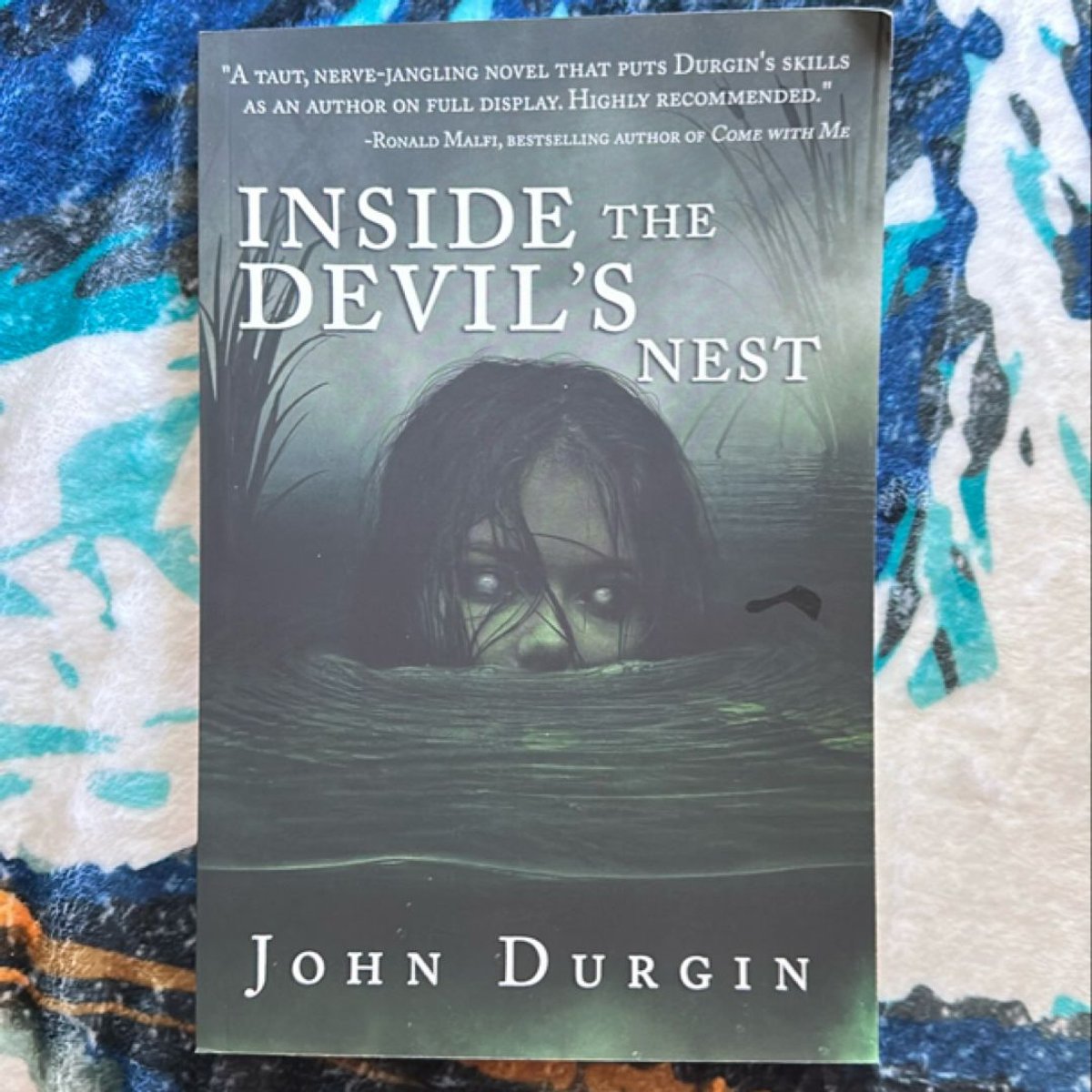 Inside the Devil's Nest by John Durgin