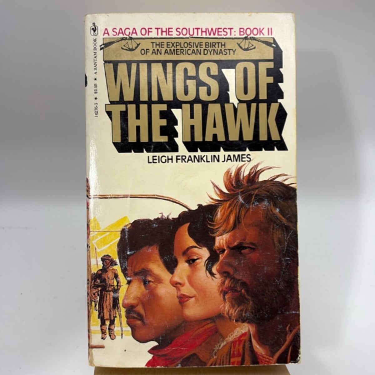 Wings of the Hawk by Leigh Franklin James