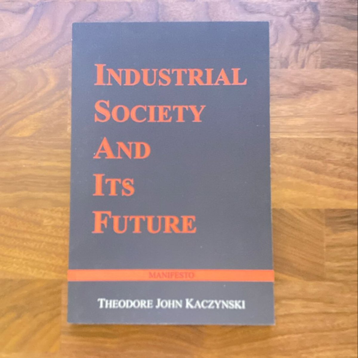 Industrial Society And Its Future