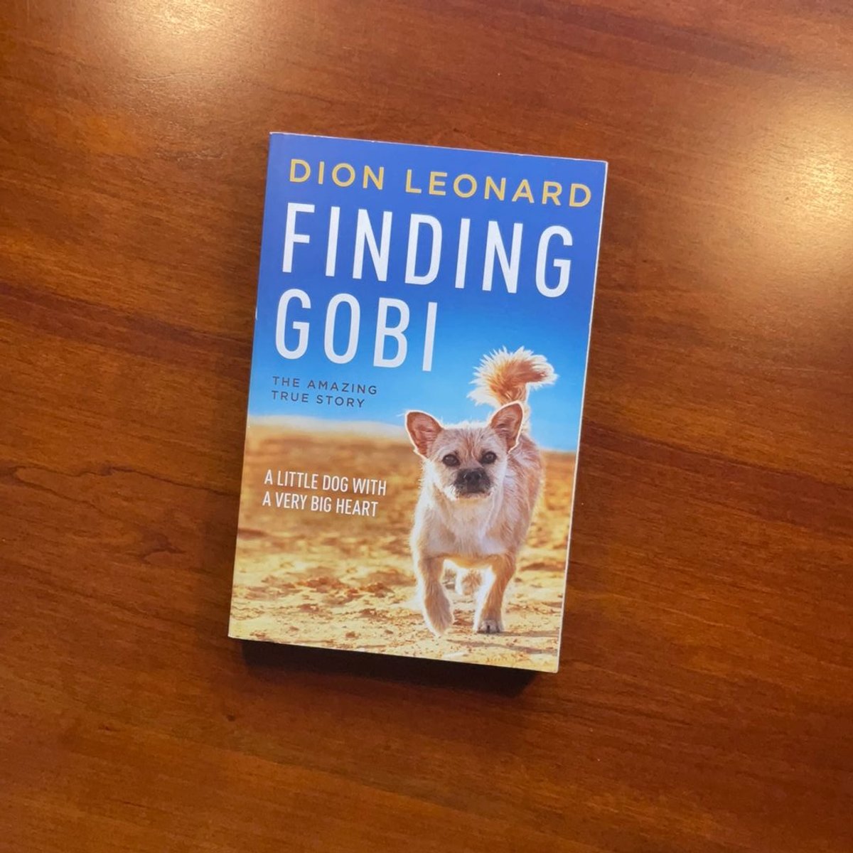 Finding Gobi by Dion Leonard