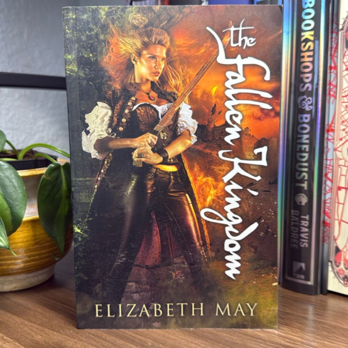 The Fallen Kingdom by Elizabeth May