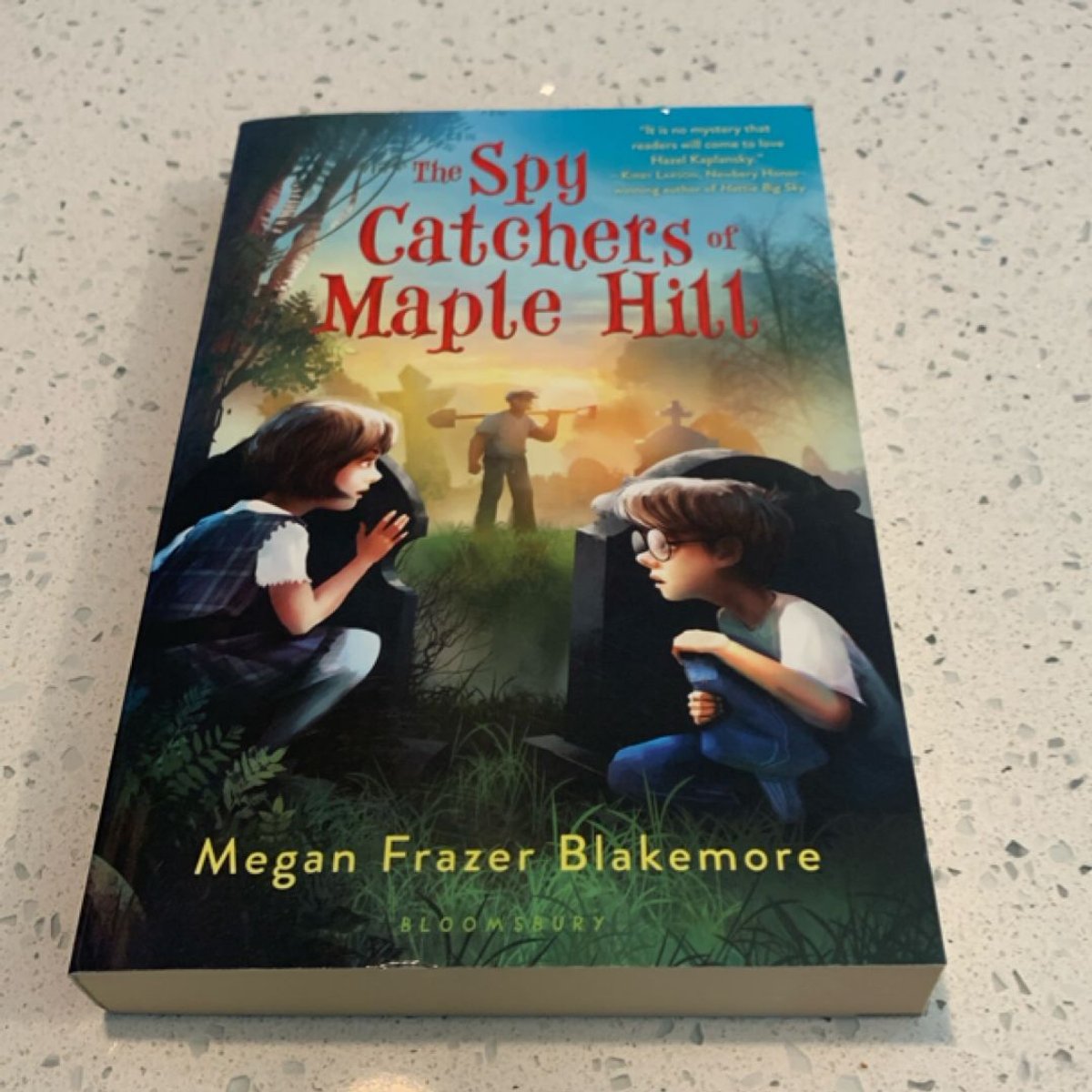 The Spy Catchers of Maple Hill by Megan Frazer Blakemore