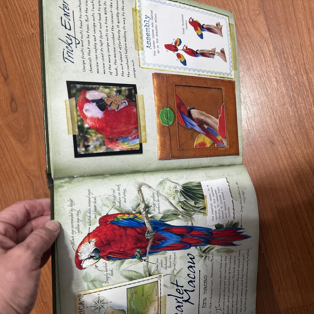 Guide to Rain Forest Animals by Nancy Honovich