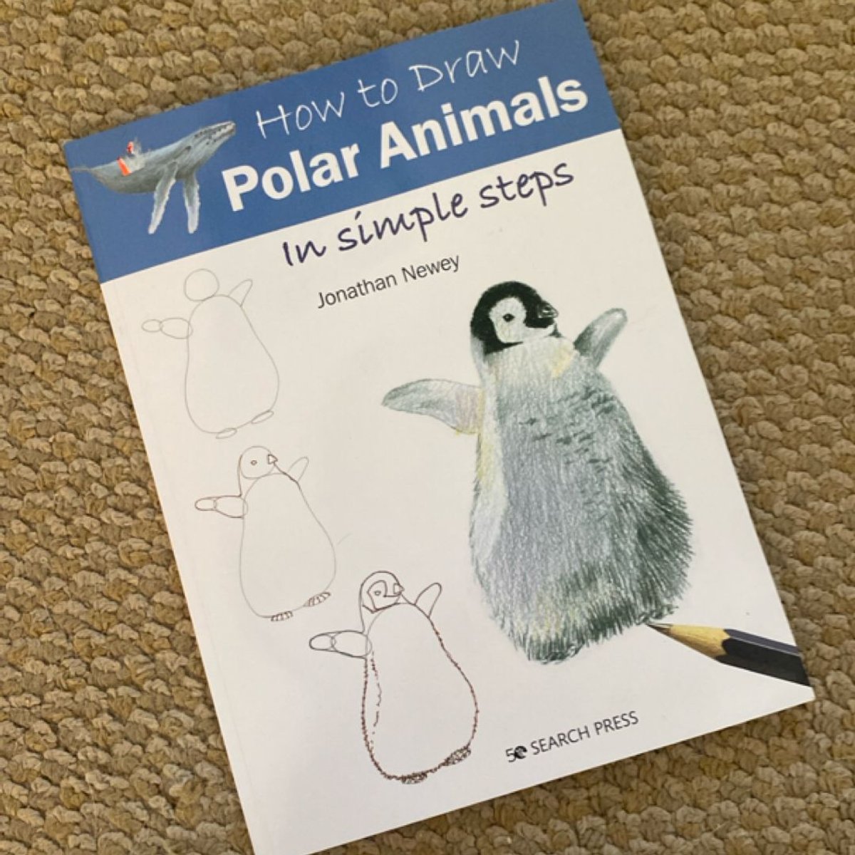 How to Draw Polar Animals in Simple Steps by Jonathan Newey