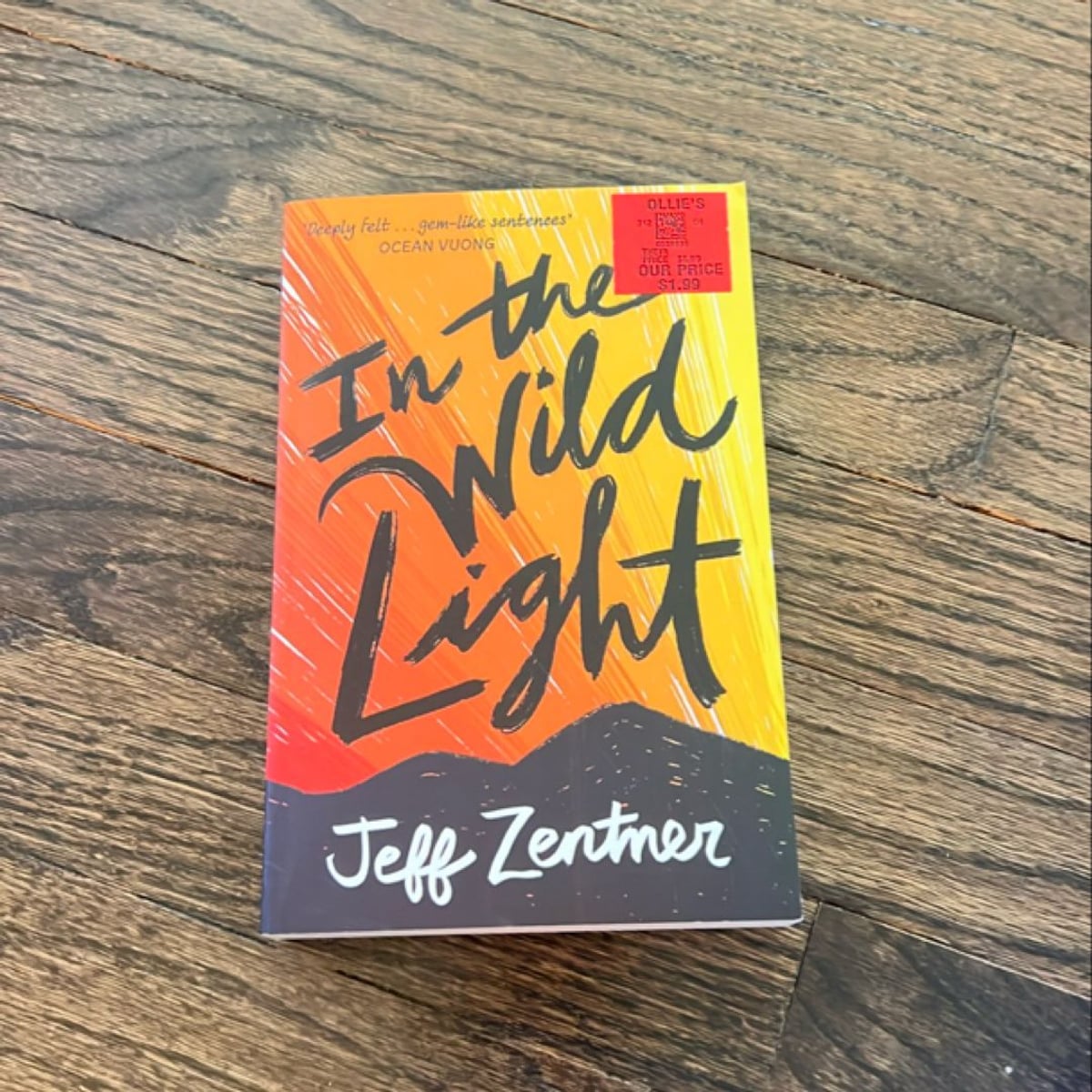 In the Wild Light by Jeff Zentner