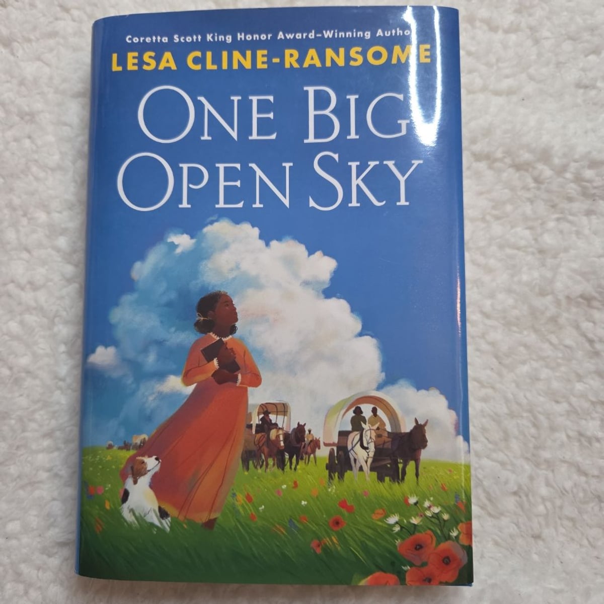 One Big Open Sky by Lesa Cline-Ransome
