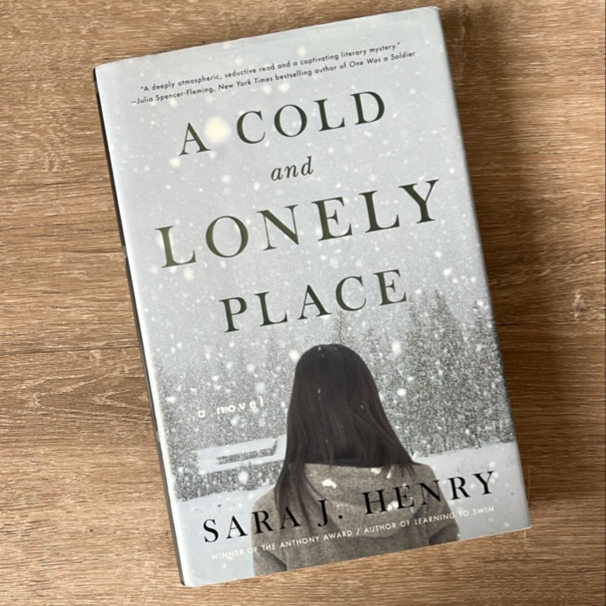 A Cold and Lonely Place by Sara J. Henry