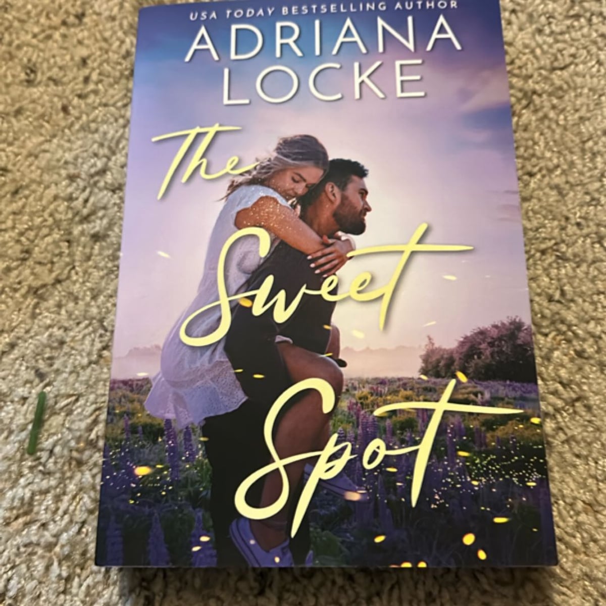 The Sweet Spot by Adriana Locke