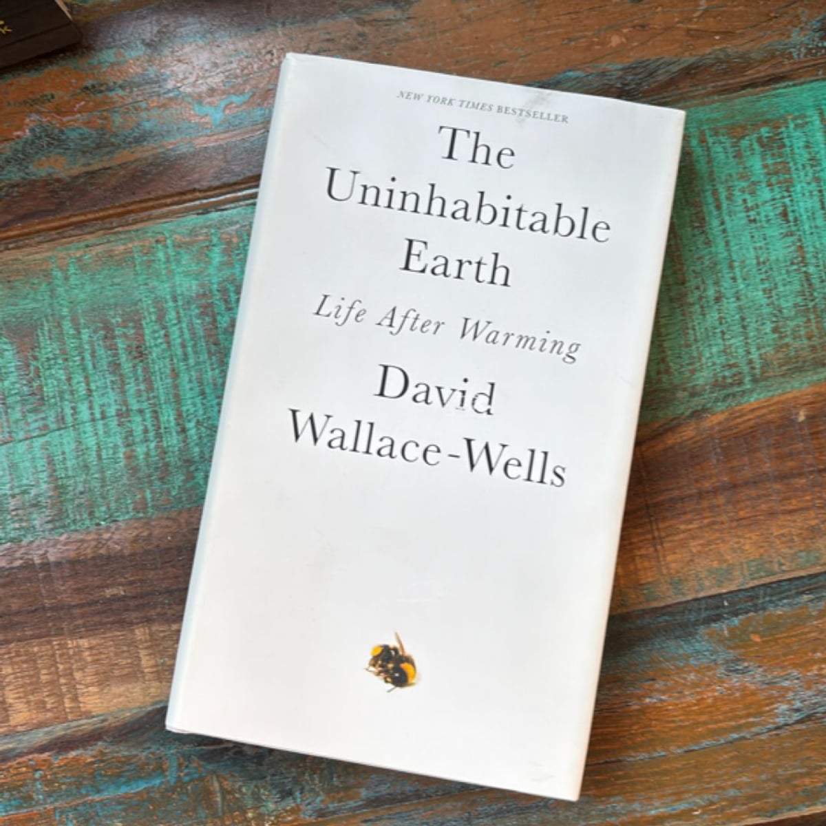 The Uninhabitable Earth by David Wallace-Wells