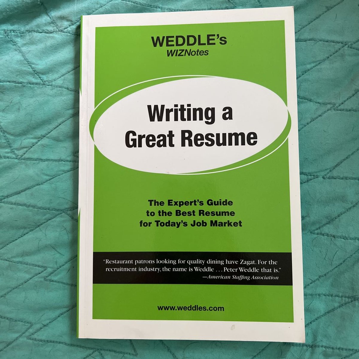Writing a Great Resume by Peter Weddle