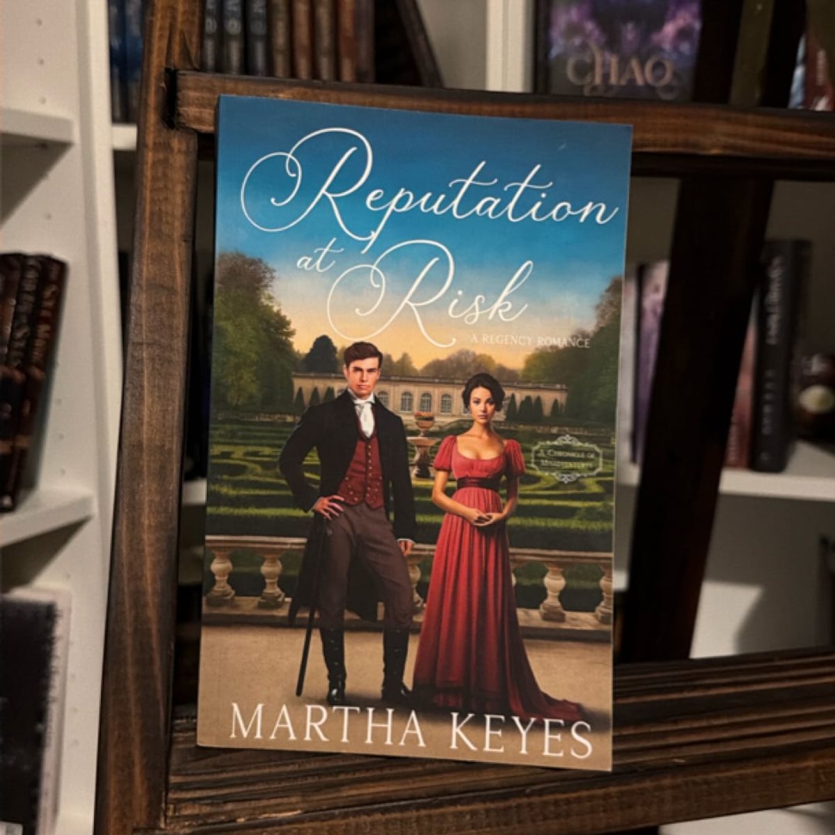Reputation at Risk by Martha Keyes