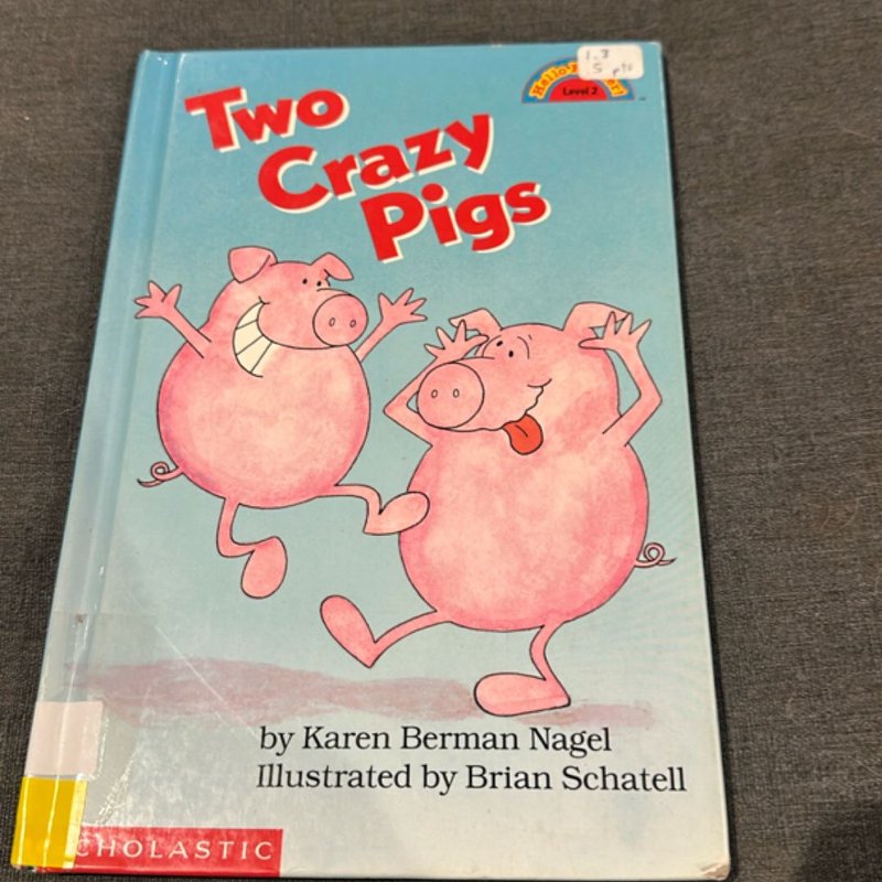 Two Crazy Pigs by Karen Berman Nagel, Hardcover | Pangobooks