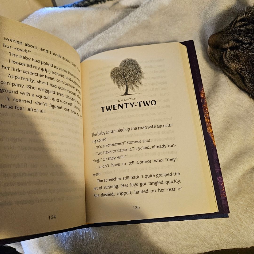 Willodeen by Katherine Applegate, Hardcover | Pangobooks