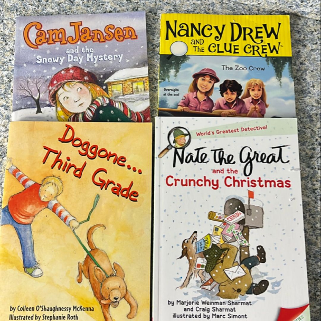 Cam Jansen and the Snowy Day Mystery by David A. Adler