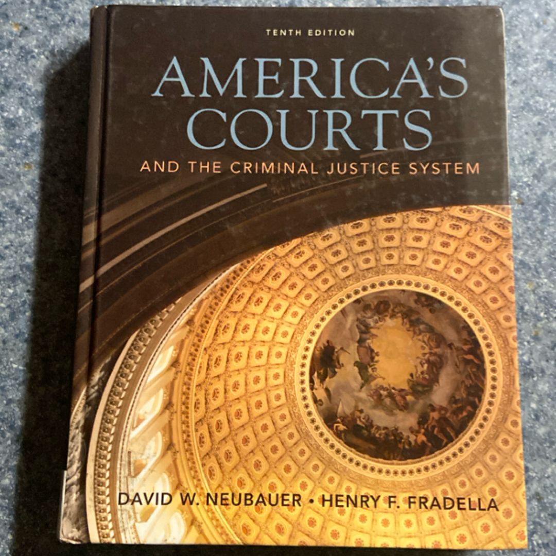 America's Courts by David W. Neubauer