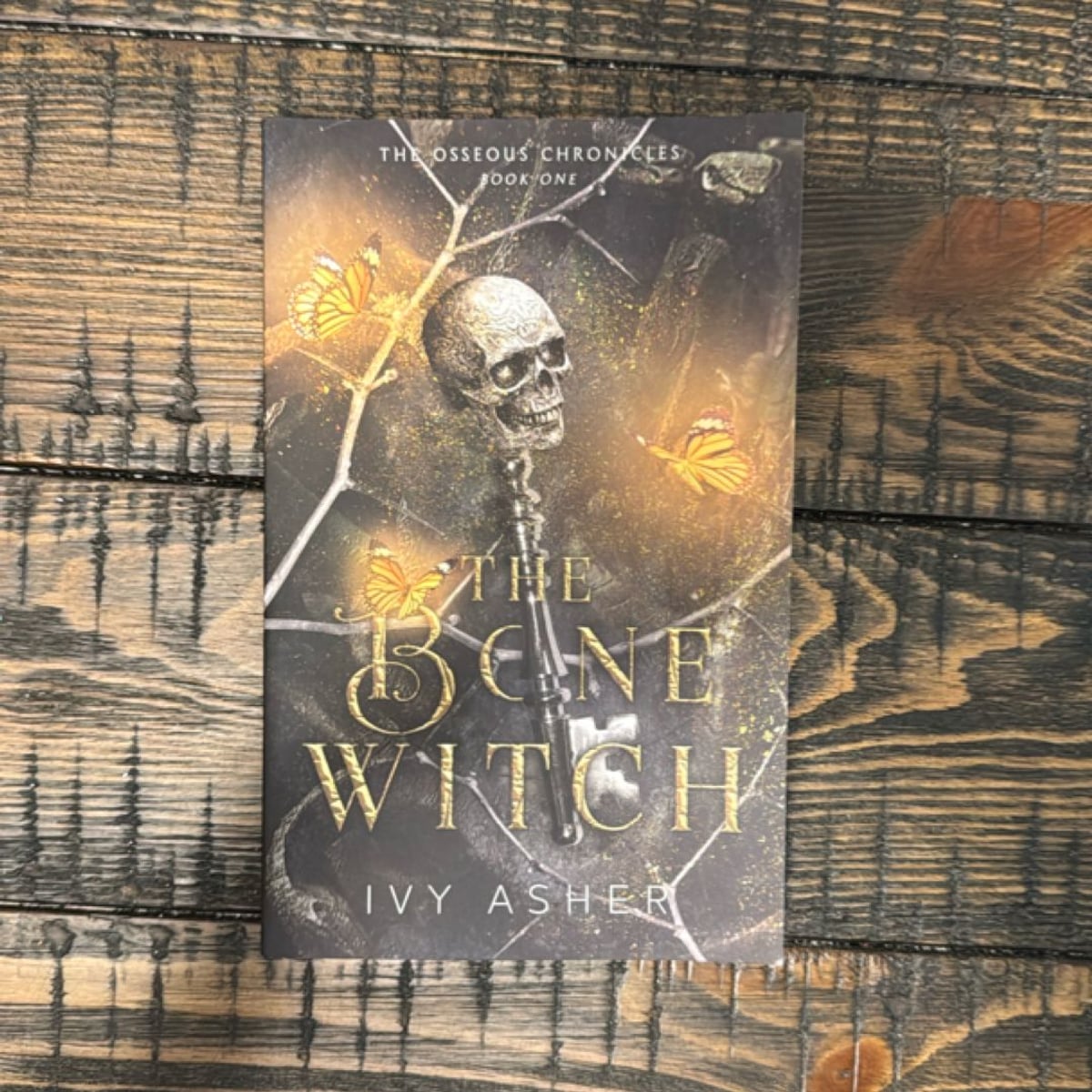The Bone Witch by Ivy Asher