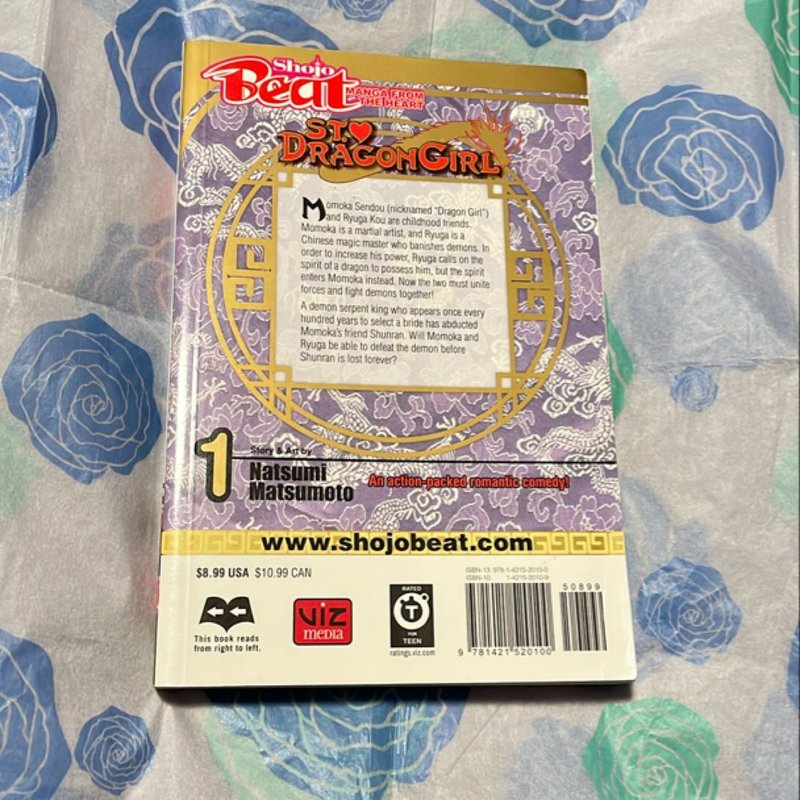 St. Dragon Girl, Vol. 1 by Natsumi Matsumoto
