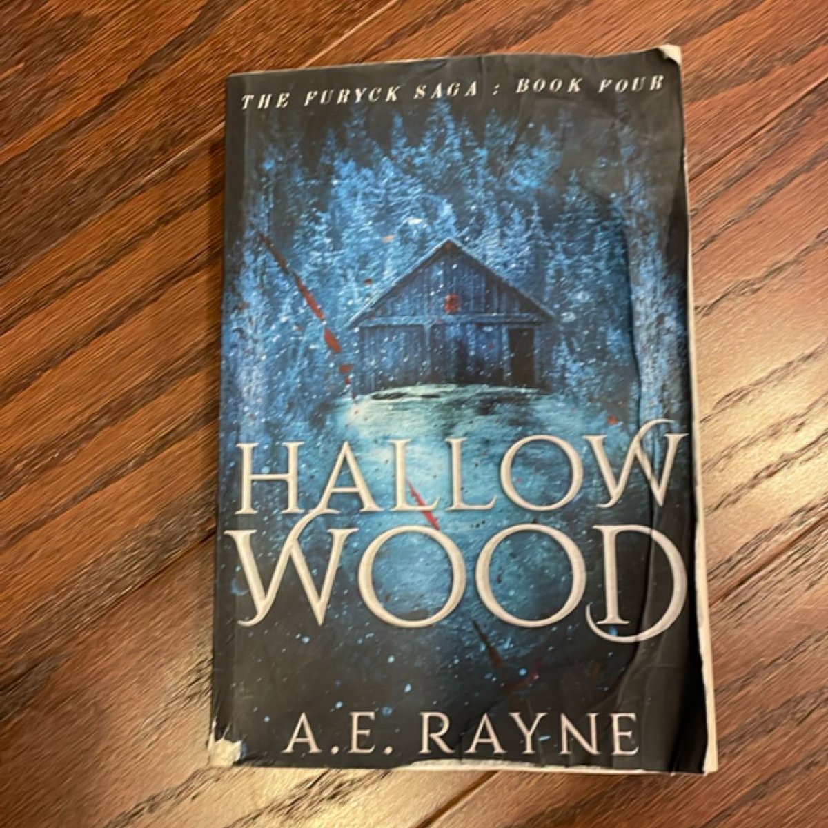 Hallow Wood (the Furyck Saga: Book 4) by A. E. Rayne
