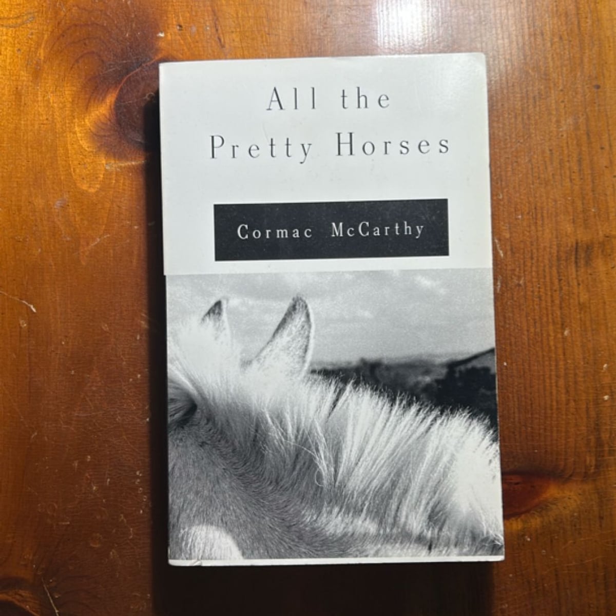 All the Pretty Horses by Cormac McCarthy, Paperback | Pangobooks