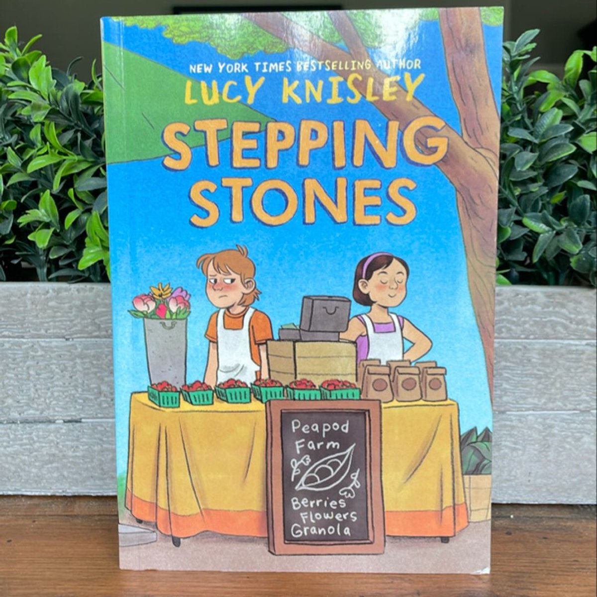Stepping Stones by Lucy Knisley