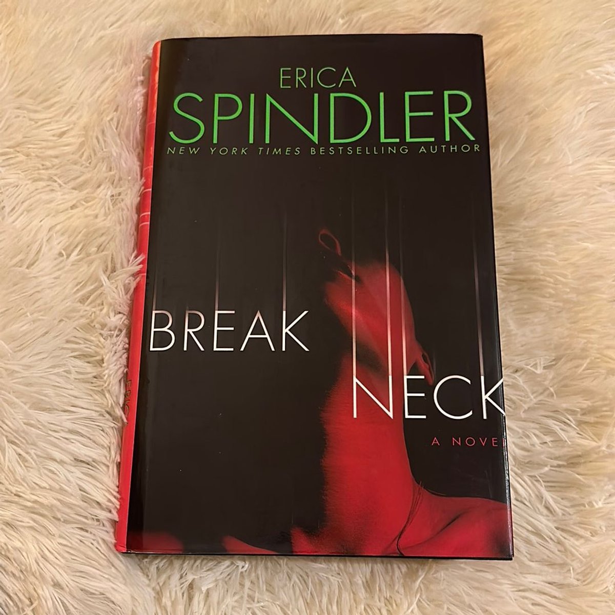 Breakneck by Erica Spindler