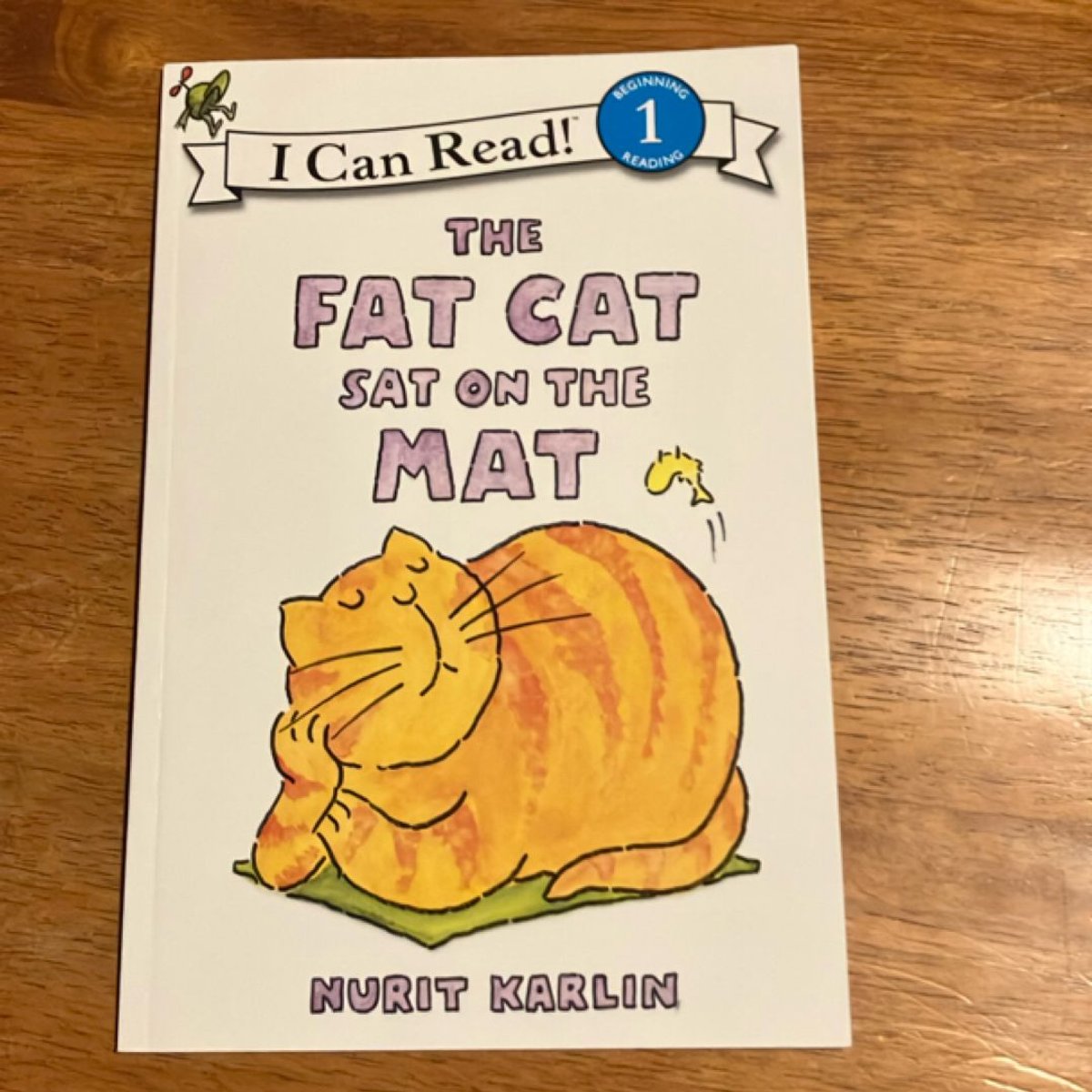 The Fat Cat Sat on the Mat by Nurit Karlin, Paperback | Pangobooks