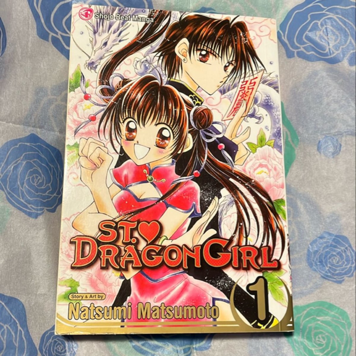 St. Dragon Girl, Vol. 1 by Natsumi Matsumoto