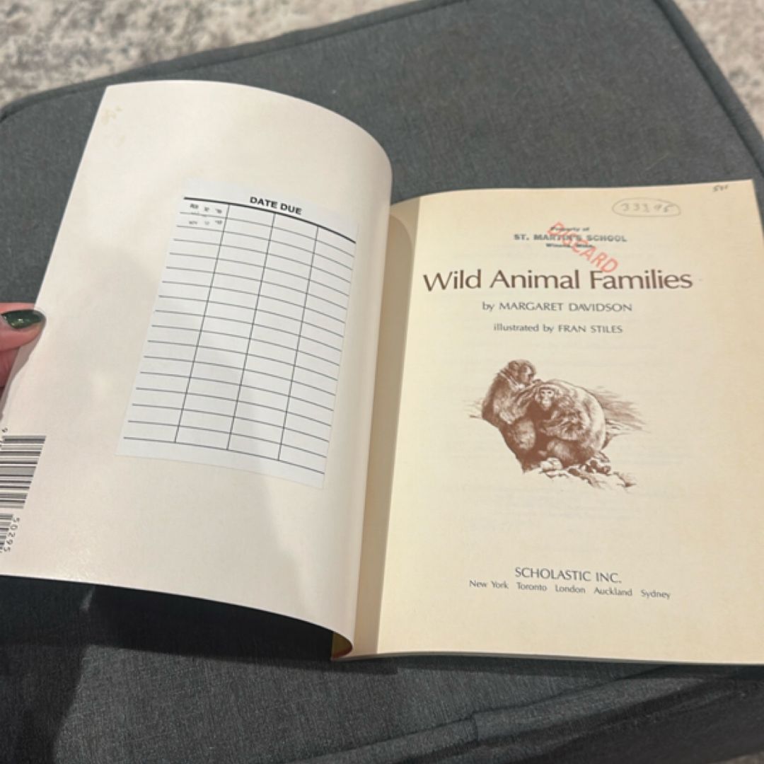 Wild Animal Families by Andrew Davidson