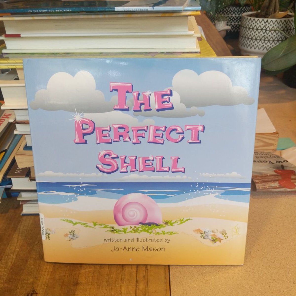 The Perfect Shell by Jo-Anne Mason