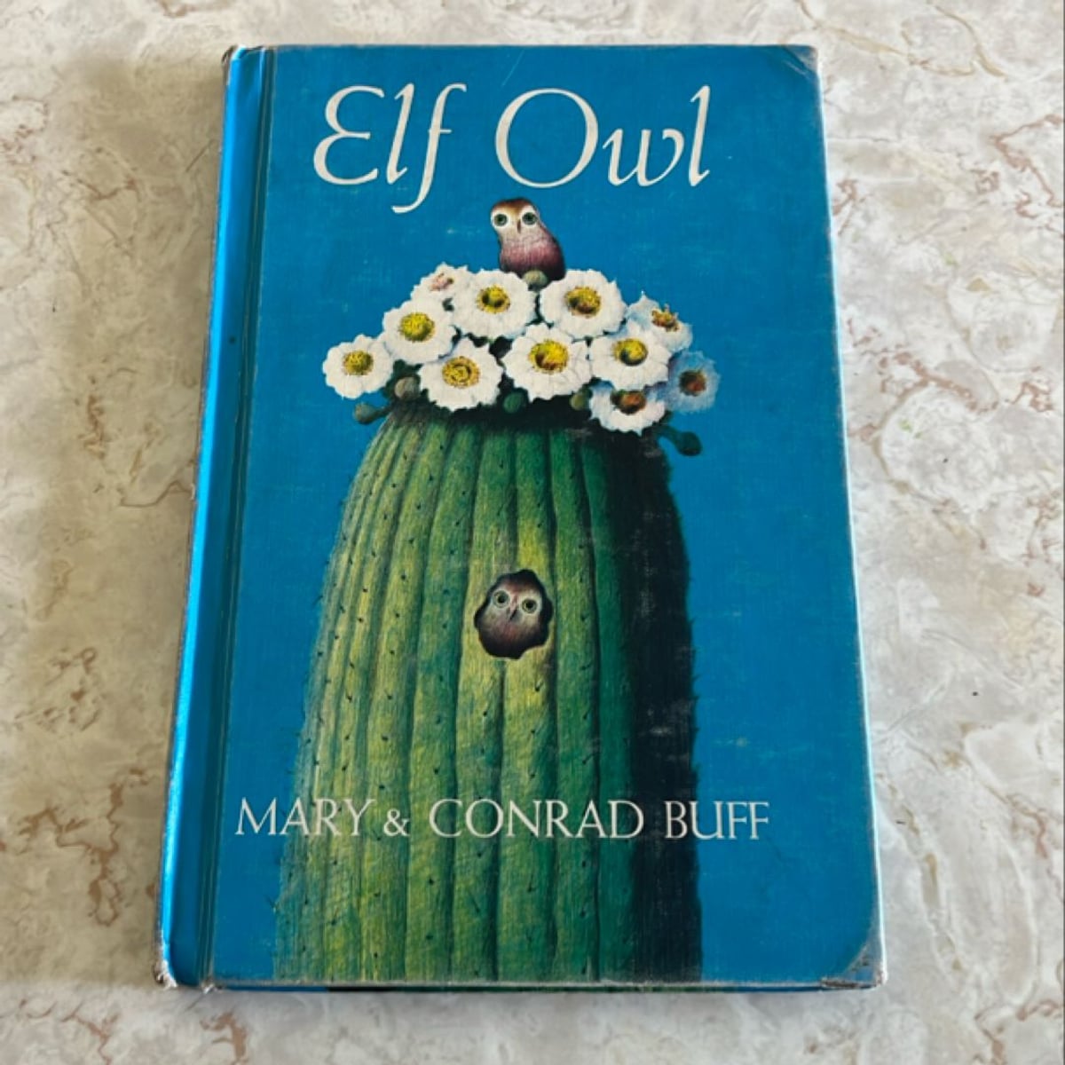 Elf Owl by Mary Buff, Conrad Buff, Hardcover | Pangobooks