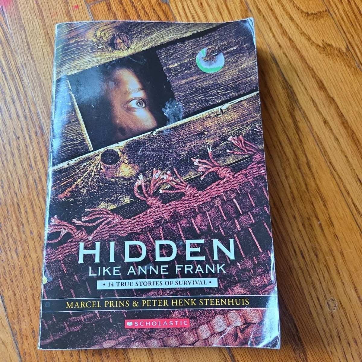 Hidden Like Anne Frank by Marcel Prins, Peter Henk Steenhuis, Laura ...