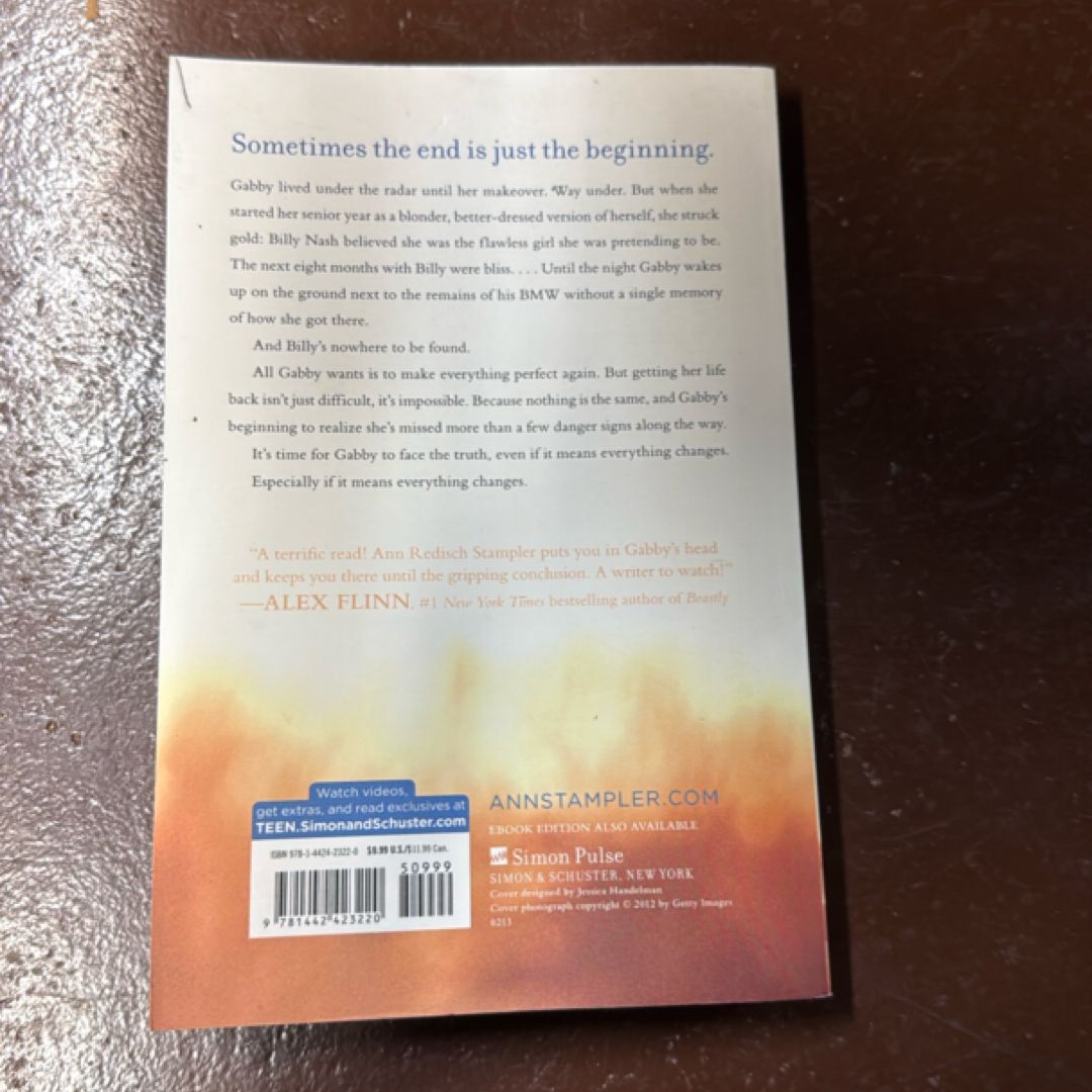 Where It Began by Ann Redisch Stampler
