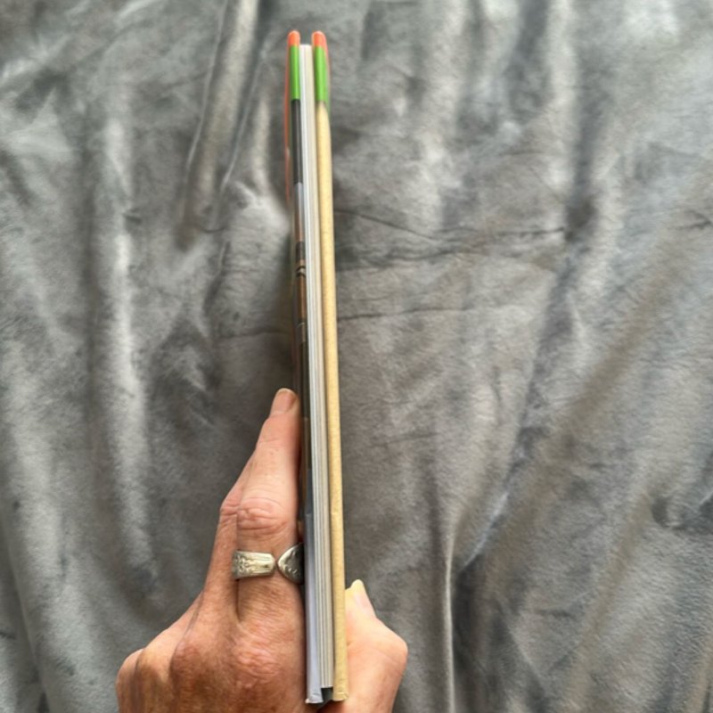 Judy Moody and Friends: Stink Moody in Master of Disaster by Megan McDonald