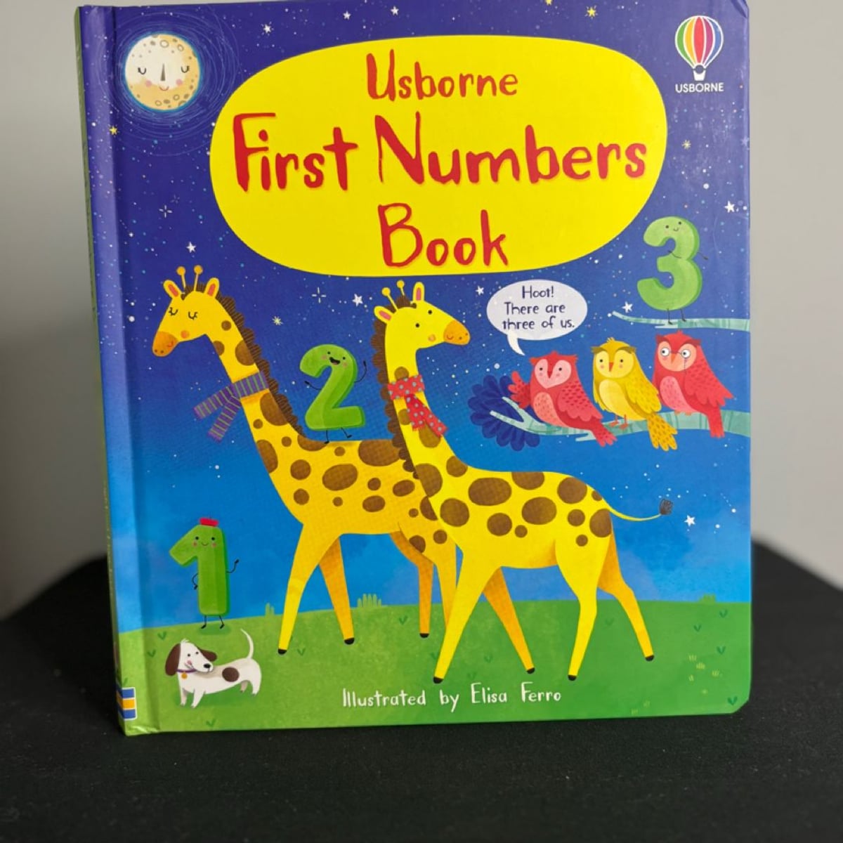 First Numbers Book by Mary Cartwright