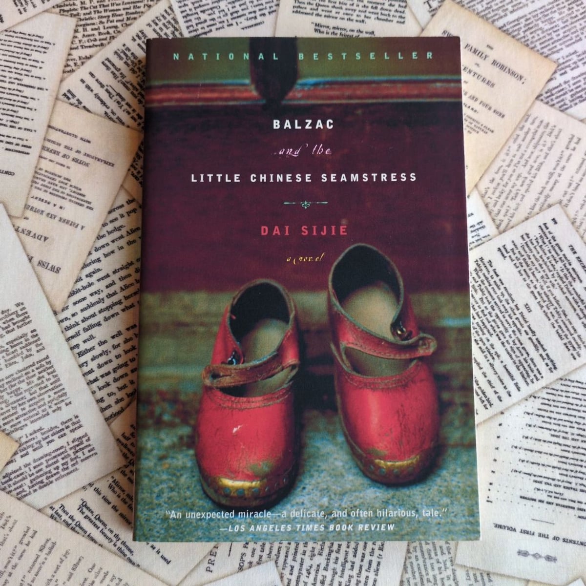 Balzac and the Little Chinese Seamstress by Dai Sijie
