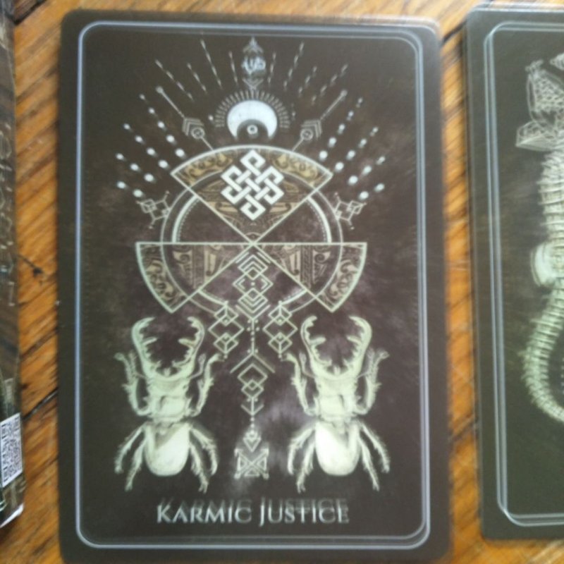 🔮Talisman Oracle Cards by Nora Paskaleva, Paperback | Pangobooks