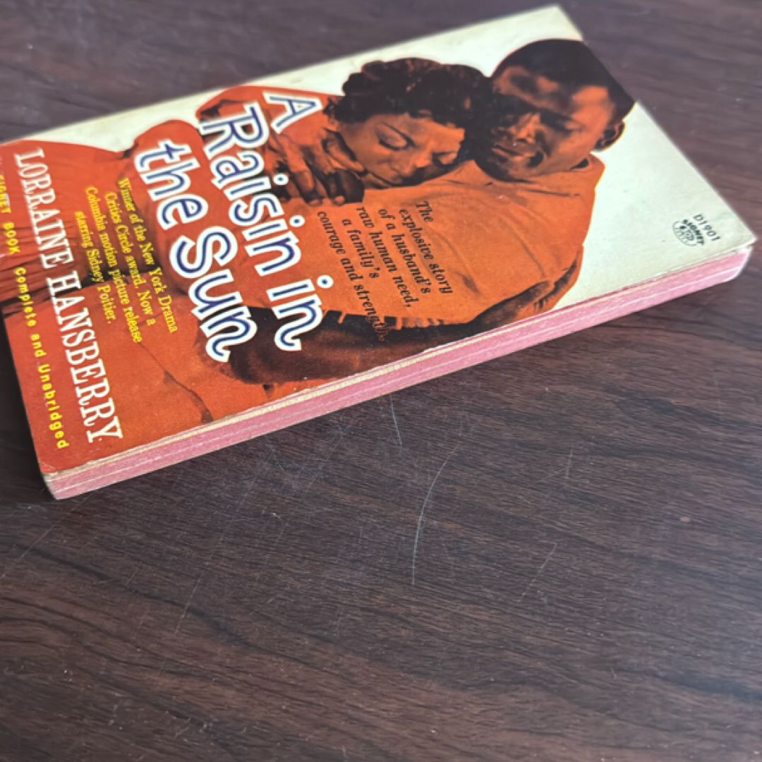 A Raisin in the Sun by Lorraine Hansberry, Paperback | Pangobooks