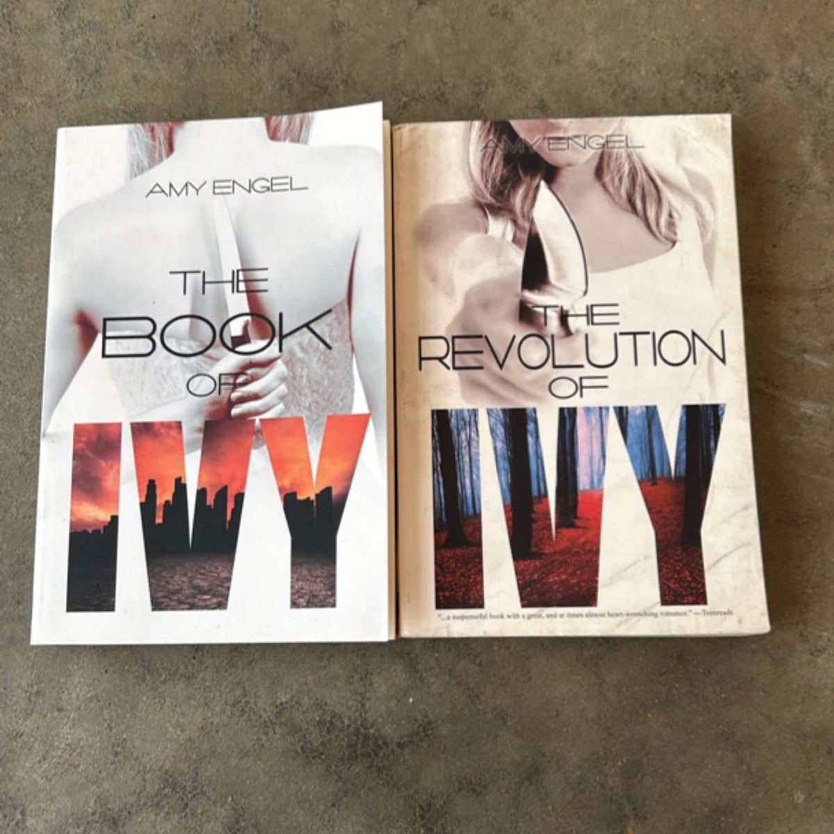 The Book of Ivy by Amy Engel