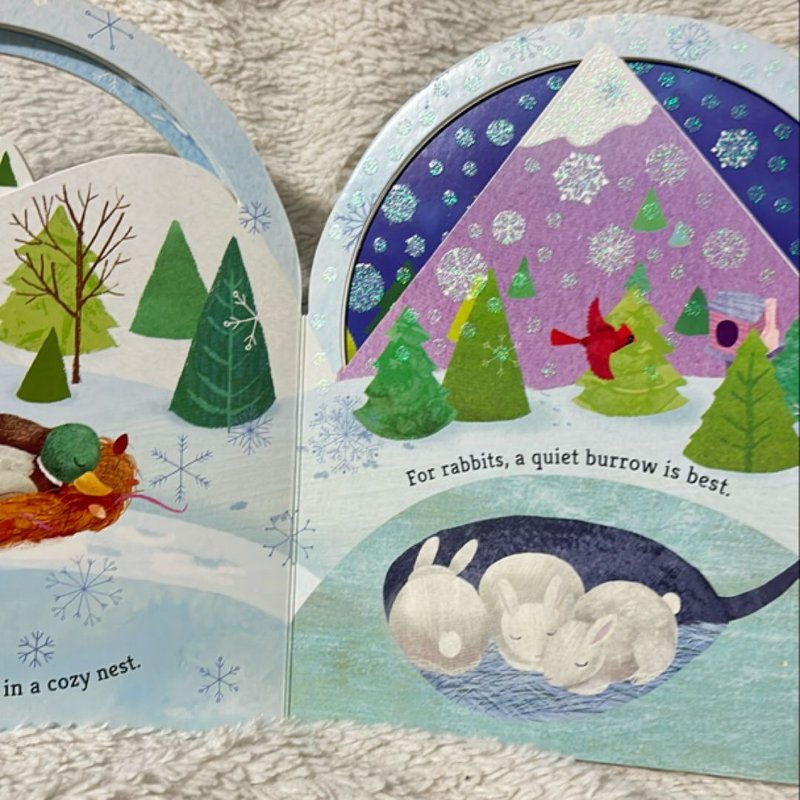 My Snow Globe: a Sparkly Peek-Through Story by Megan E. Bryant